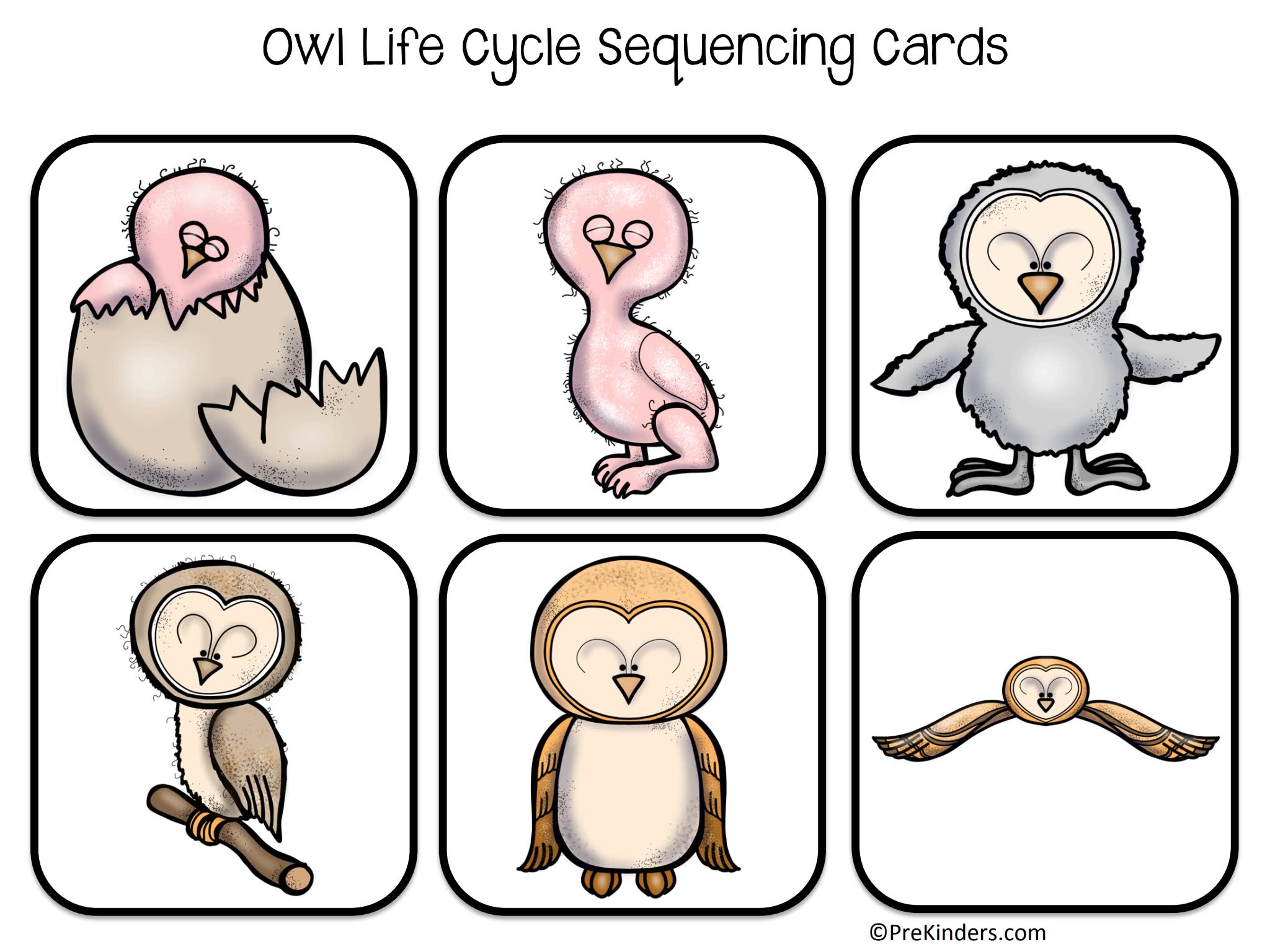 《Fall Life Cycle Science》自然生命科学6册英文作业纸 百度云网盘下载 | 咿呀启蒙yiyaqimeng.com