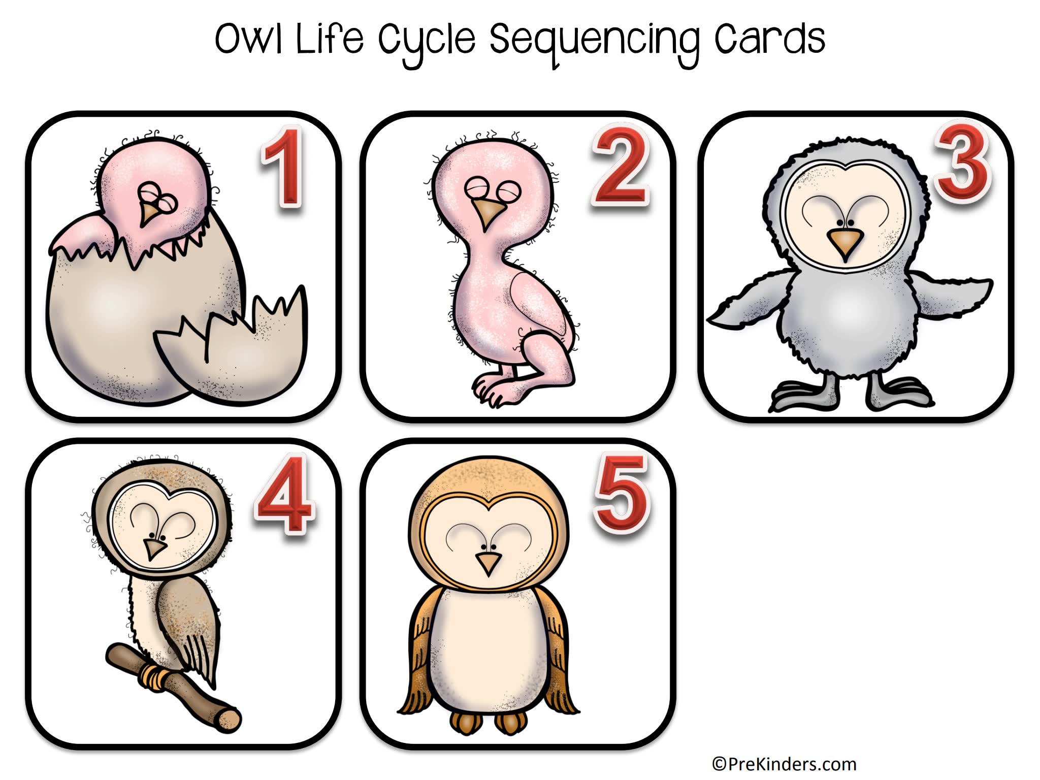 《Fall Life Cycle Science》自然生命科学6册英文作业纸 百度云网盘下载 | 咿呀启蒙yiyaqimeng.com