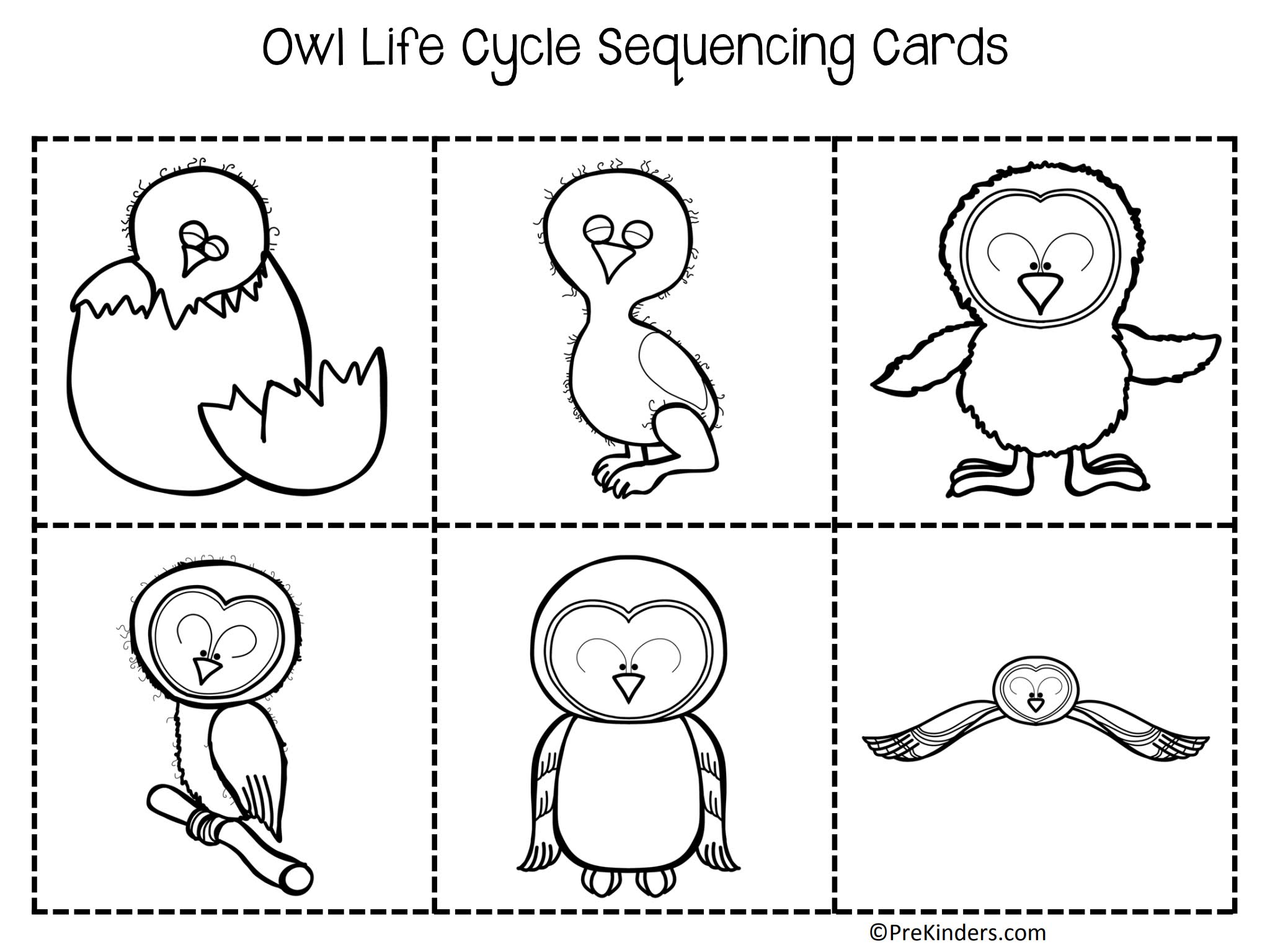 《Fall Life Cycle Science》自然生命科学6册英文作业纸 百度云网盘下载 | 咿呀启蒙yiyaqimeng.com